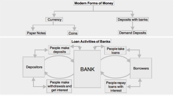 Money And Credit Class 10 Notes | Class 10 Economics Chapter 3 Notes ...